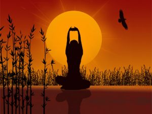 Swami Shraddhanand – Shuddhi Movement - VSK Telangana